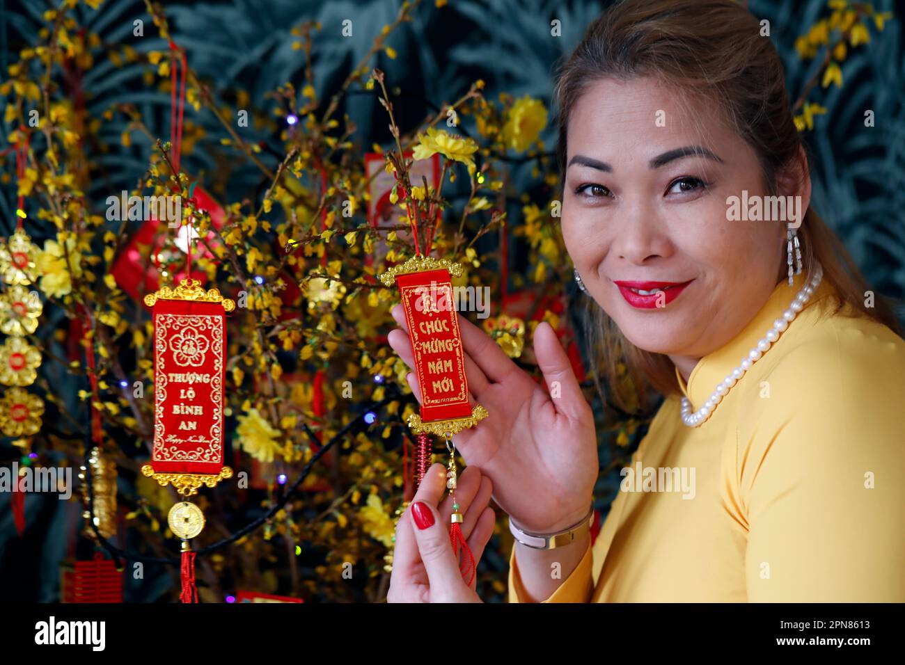 Chinese Lunar New Year. Yellow tree decorated for vietnamese Tet ...