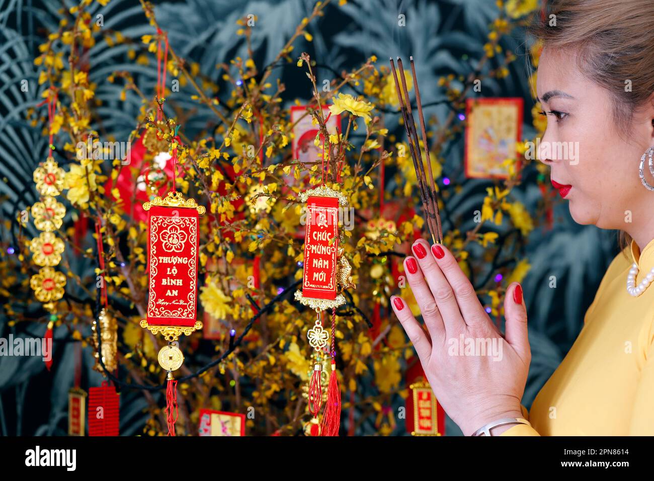 Chinese Lunar New Year. Yellow tree decorated for vietnamese Tet ...