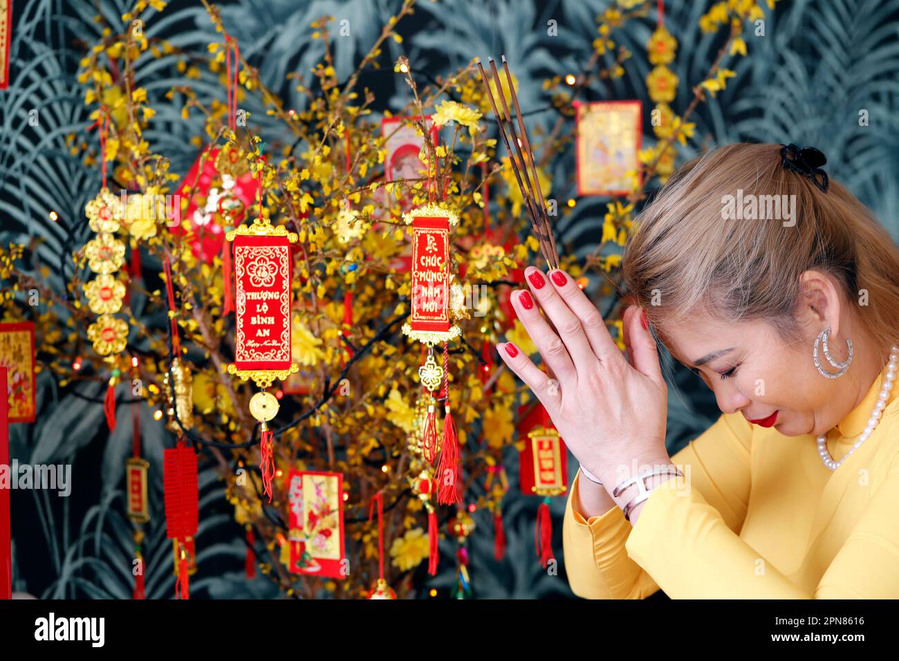 Chinese Lunar New Year. Yellow tree decorated for vietnamese Tet ...
