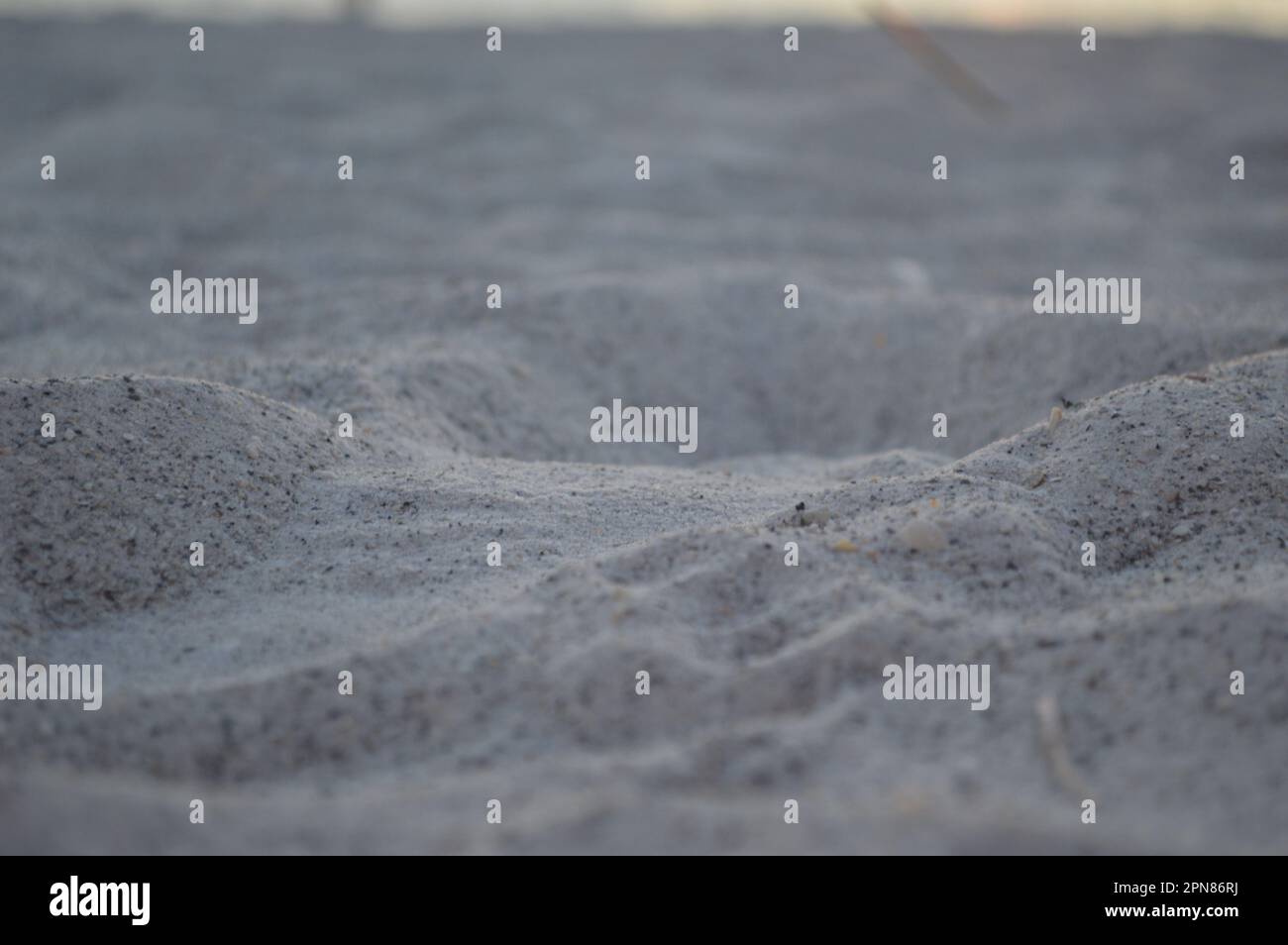 Florida sand grains hi-res stock photography and images - Alamy