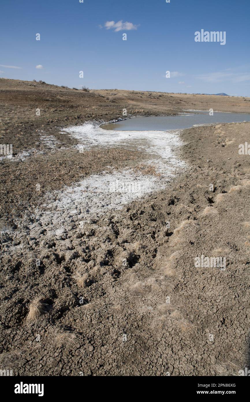 Bell Ridge Reservoir was once a thriving prairie pond with rainbow ...