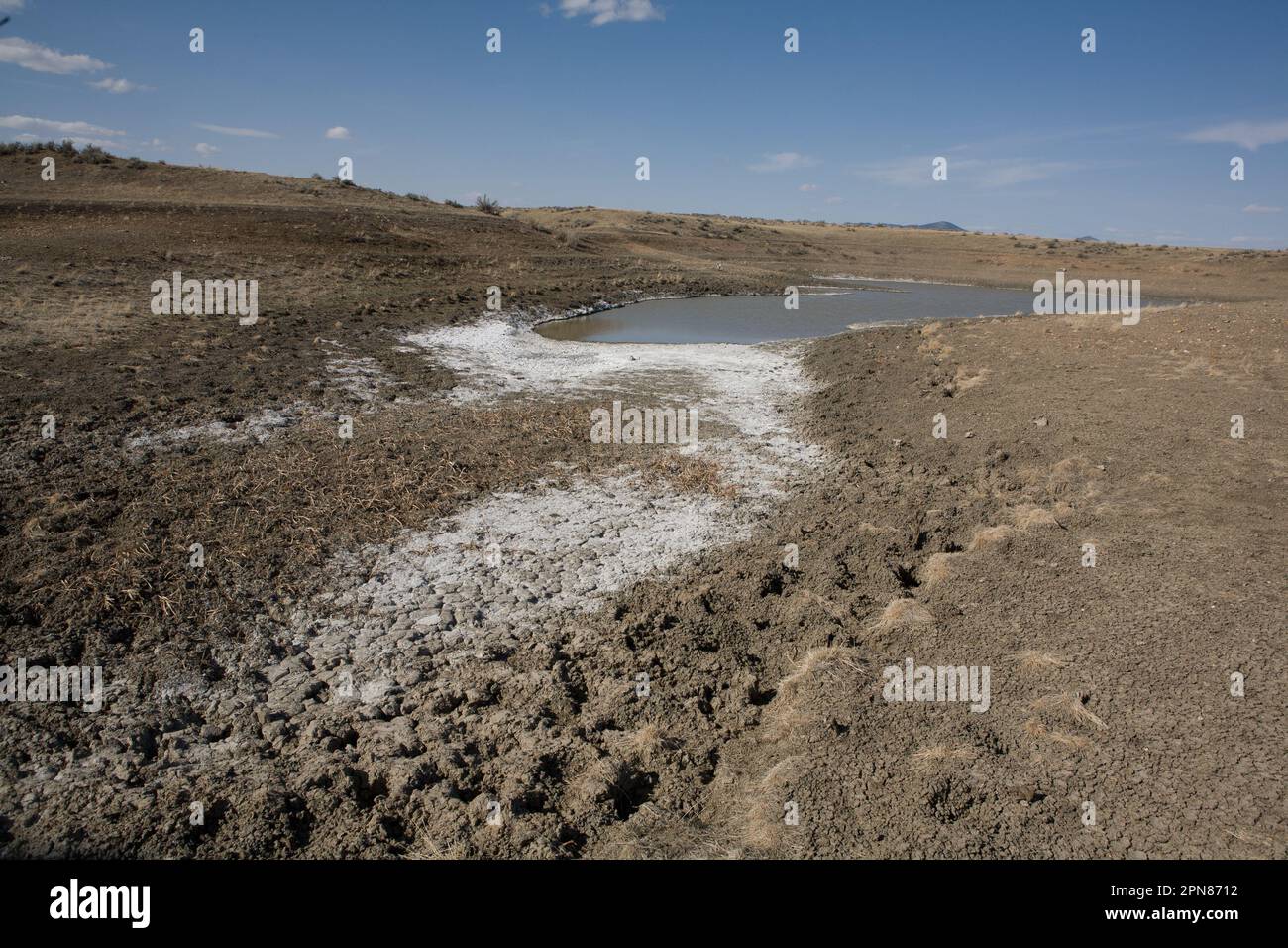 Bell Ridge Reservoir was once a thriving prairie pond with rainbow ...