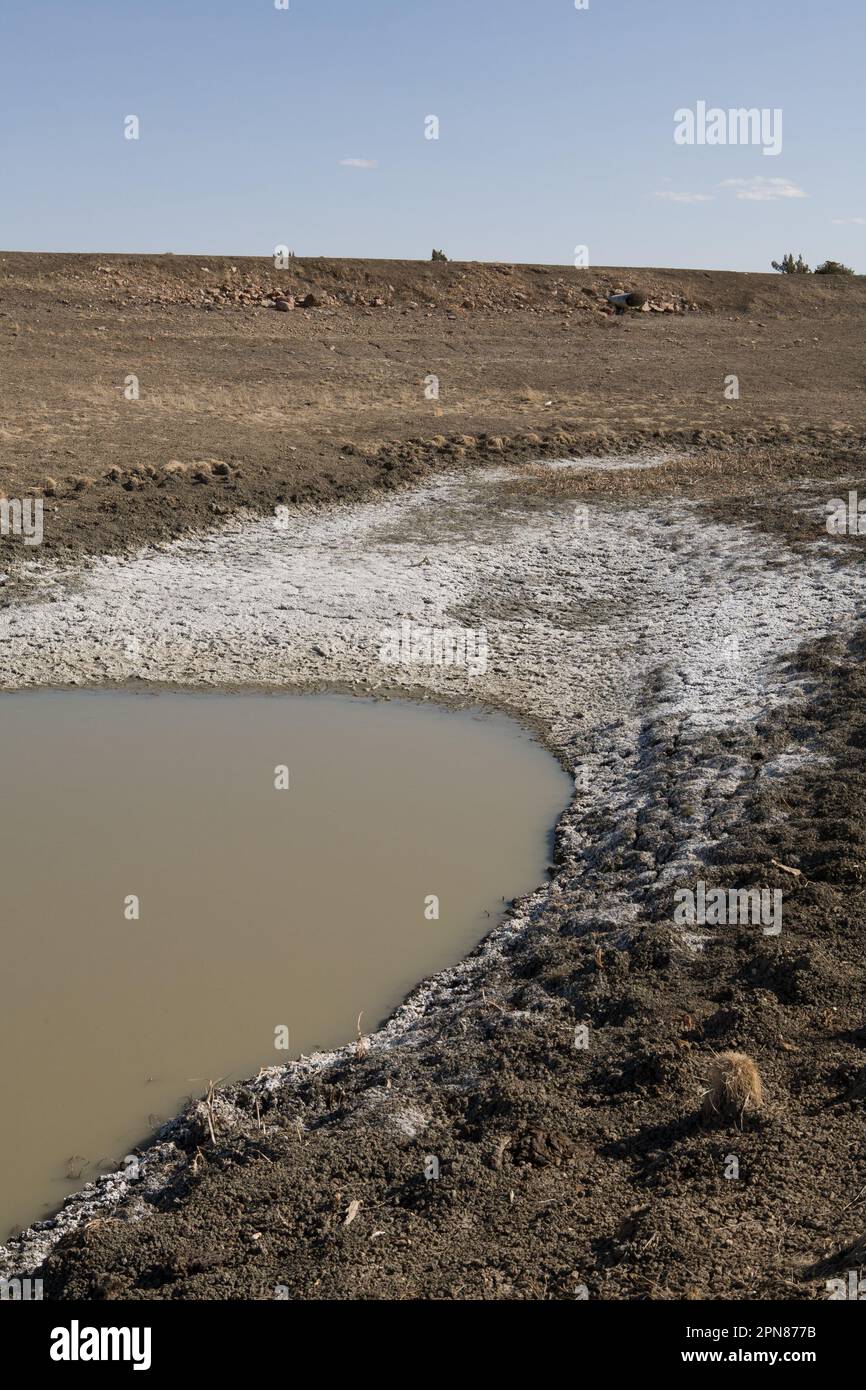 Bell Ridge Reservoir was once a thriving prairie pond with rainbow ...