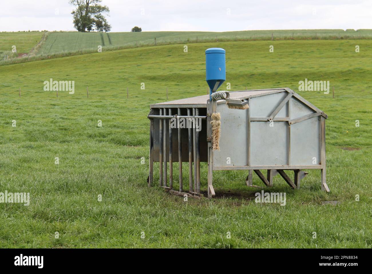 A Combined Hay Rack and Farm Animal Scratching Point Stock Photo - Alamy