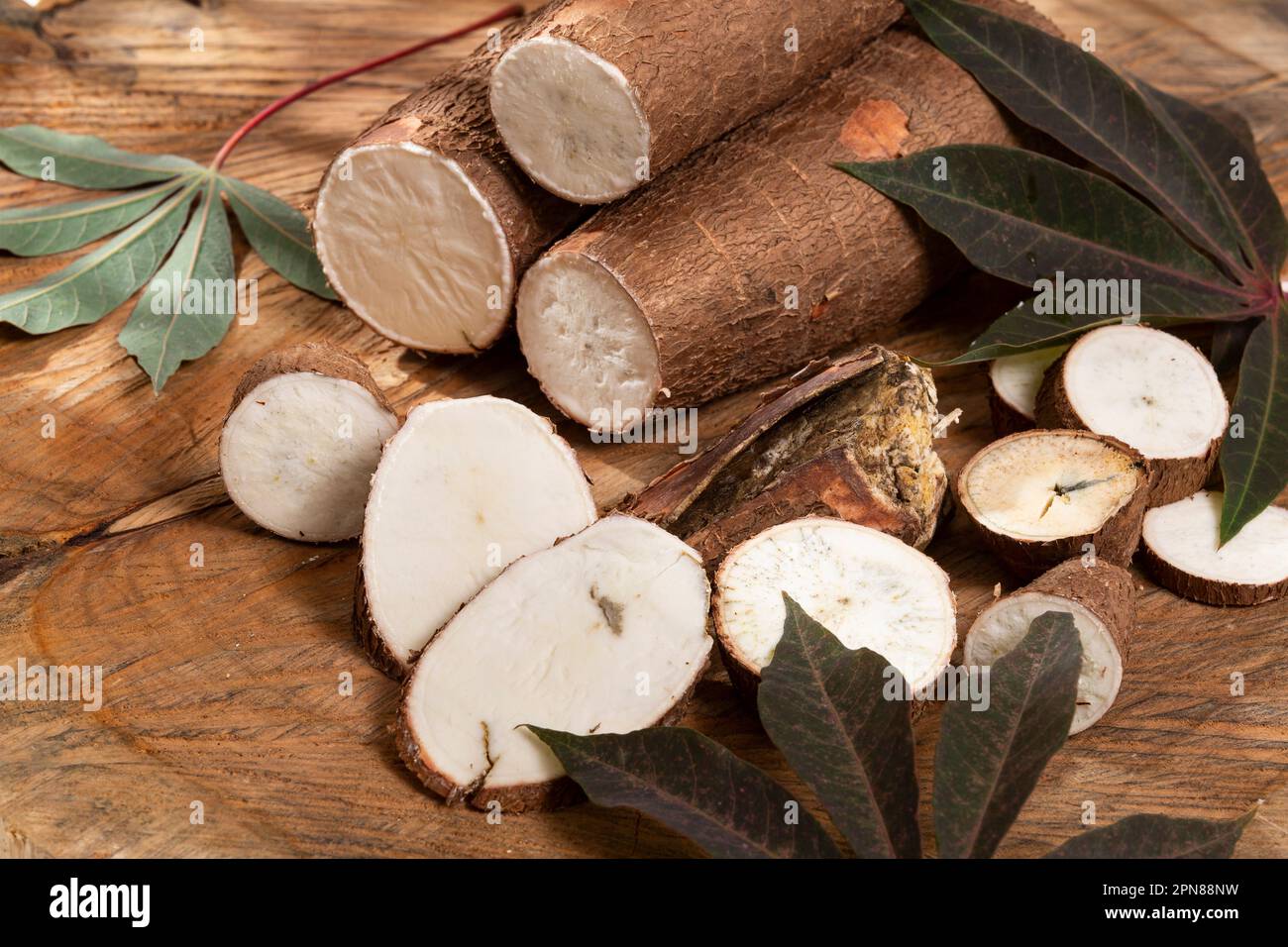 Fresh Organic Cassava Root - Manioc Esculenta; On Wooden Background ...