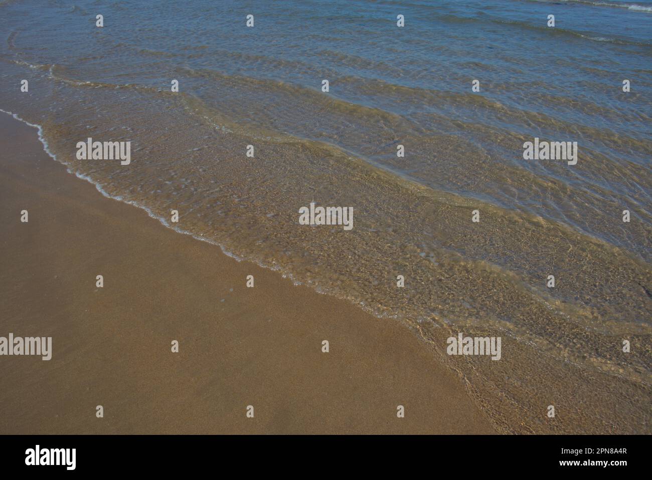springtime at the beach Stock Photo - Alamy