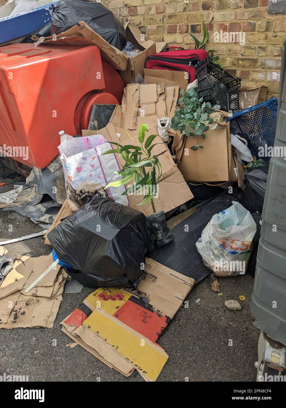 Rubbish Pile and Bins Behind a Local Corner Shop Alley Way Stock Photo ...