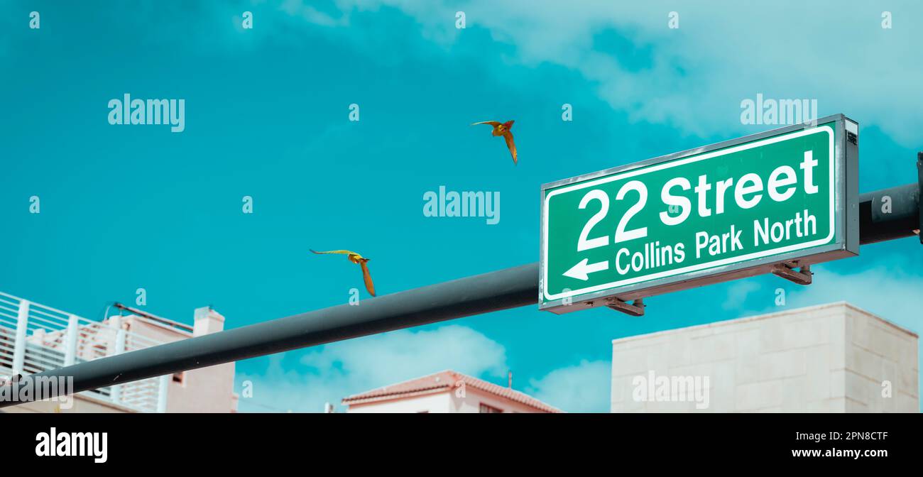 A flock of birds in flight above a green street sign pointing to ...