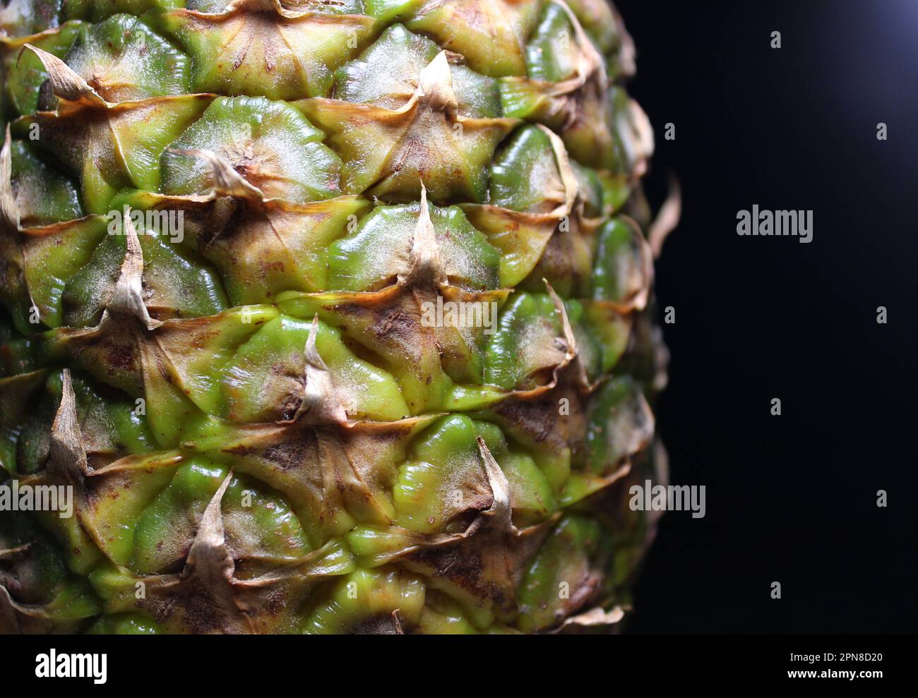 The knobby surface of a whole pineapple on the edge of the image Stock ...