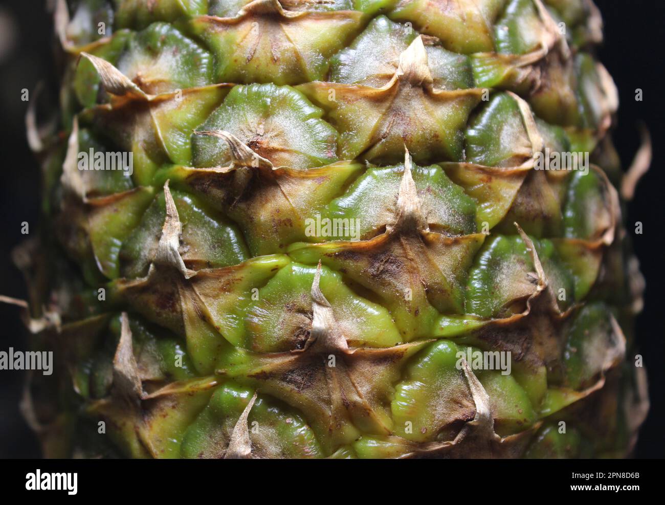 Pineapple texture hi-res stock photography and images - Alamy
