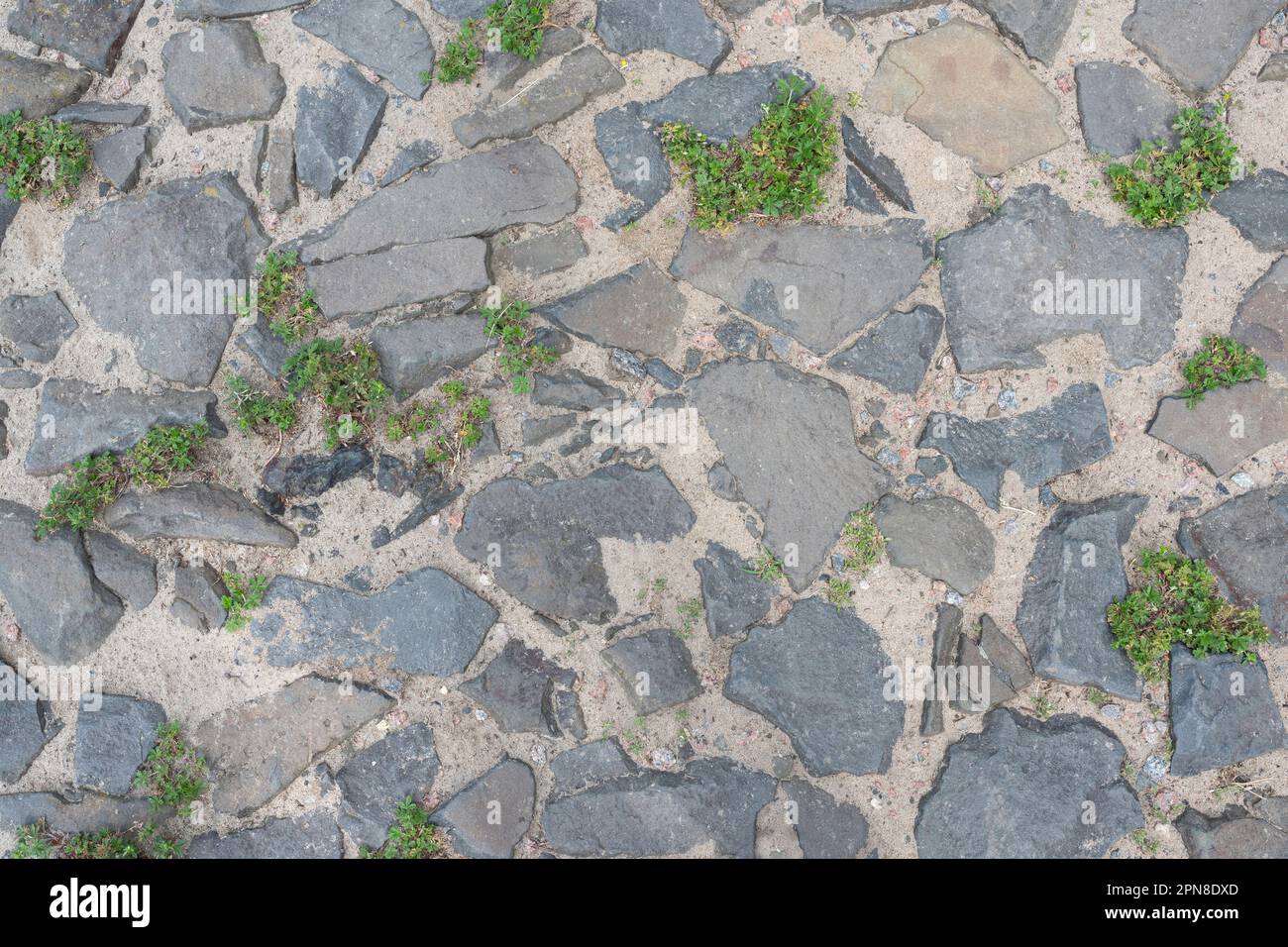 Brick walkway overgrown grass hi-res stock photography and images - Alamy