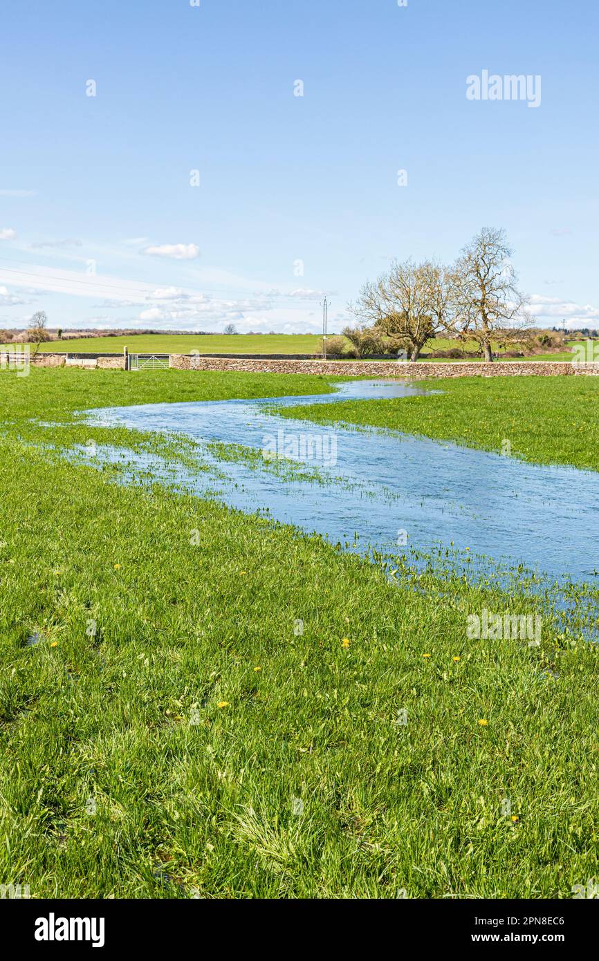 The Thames Path long distance walking trail beside the infant River ...