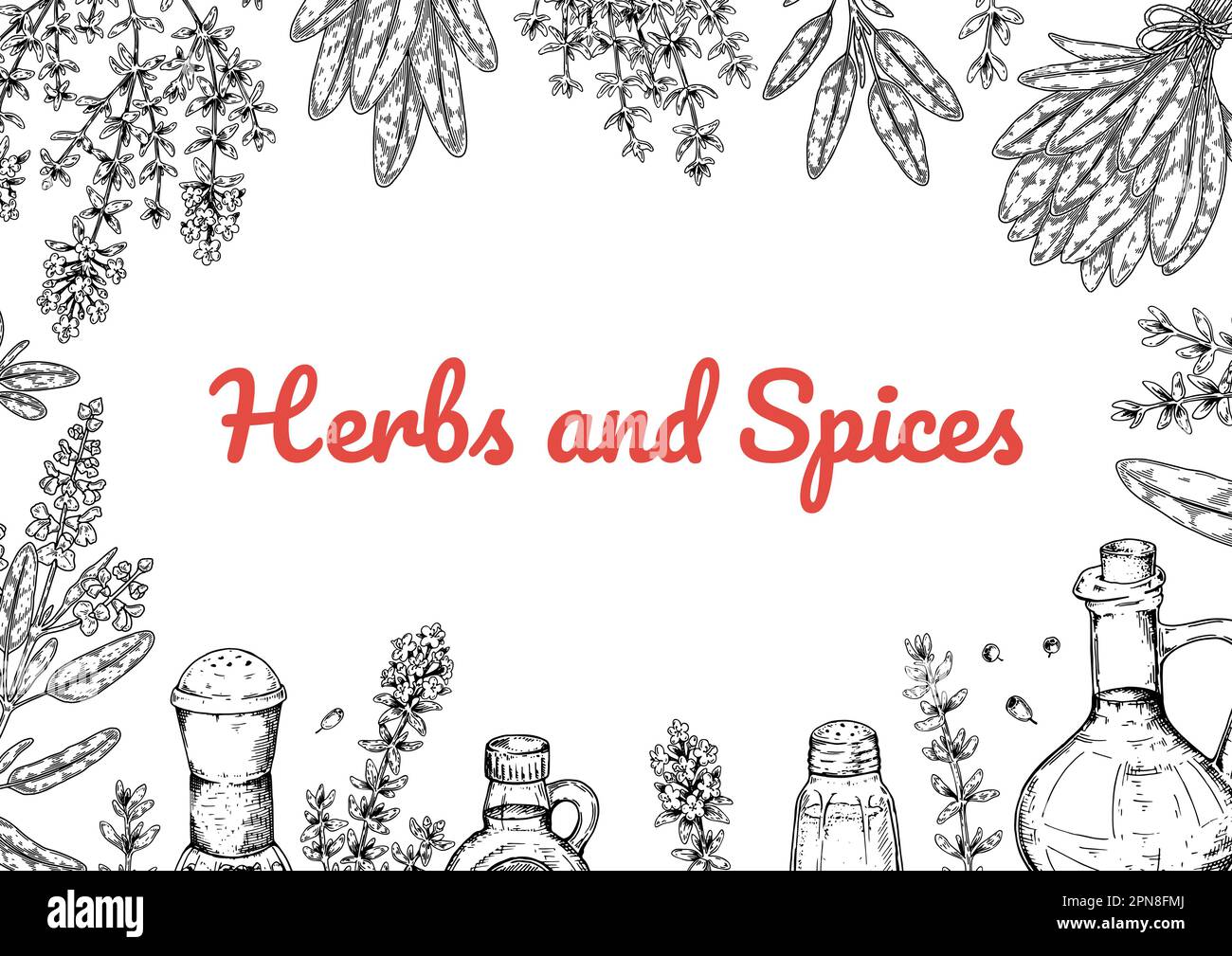 Herbs and spices horizontal design. Hand draw background with cooking ...