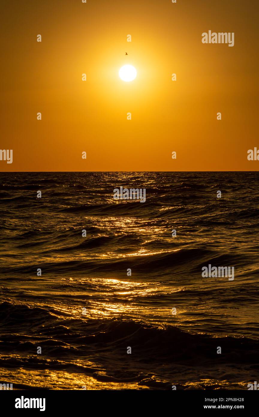 Gold sunrise on the beach Stock Photo - Alamy