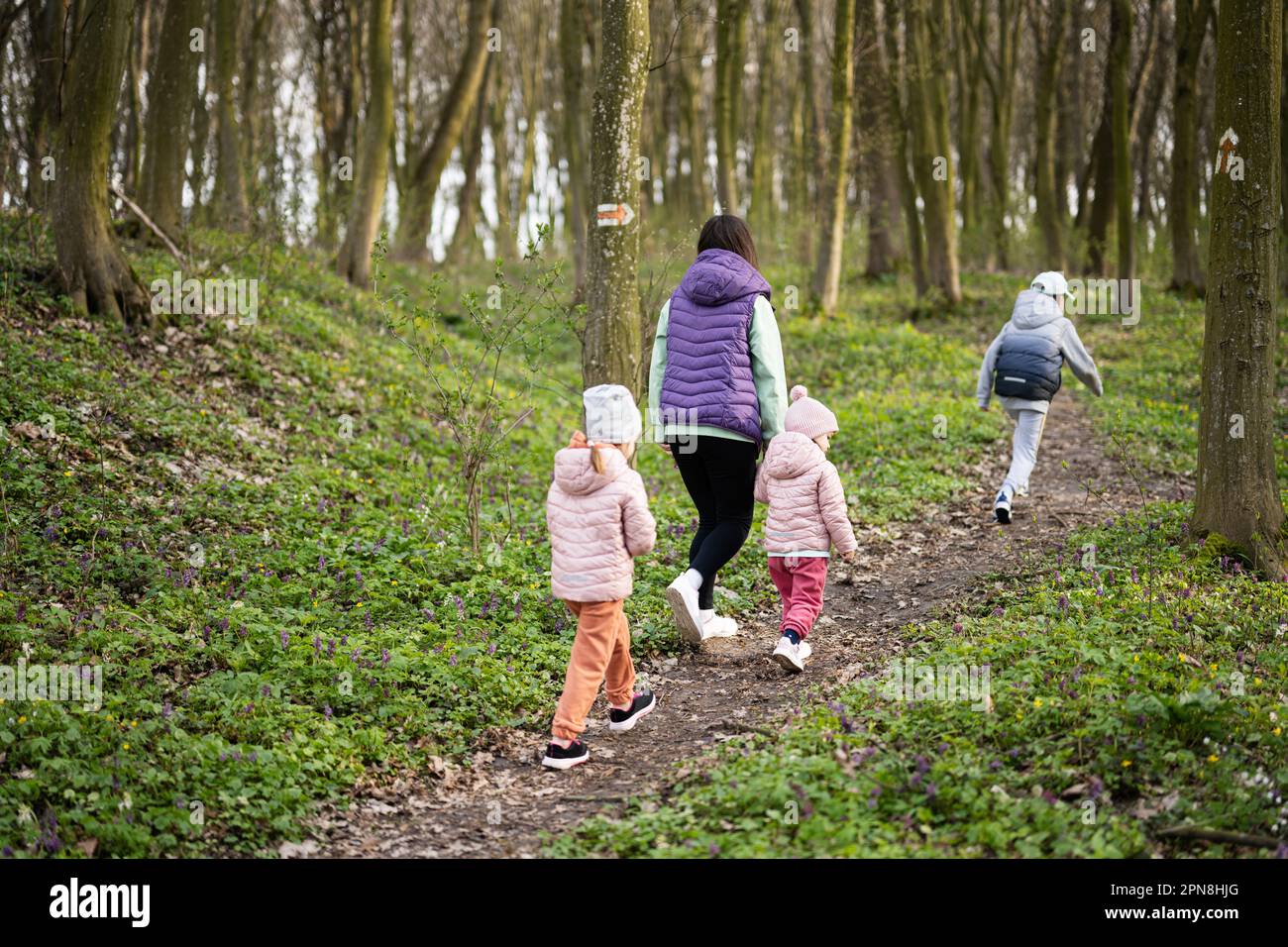 Back view of mother with three kids walking on forest trail. Outdoor ...