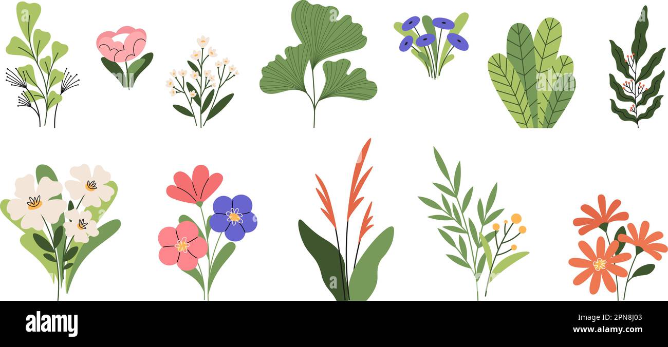 Plants and flowers, romantic bouquets and home garden green. Isolated ...