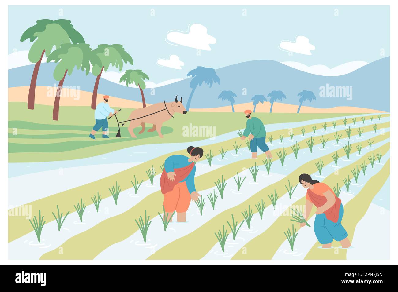 Man in rice paddy Stock Vector Images - Alamy