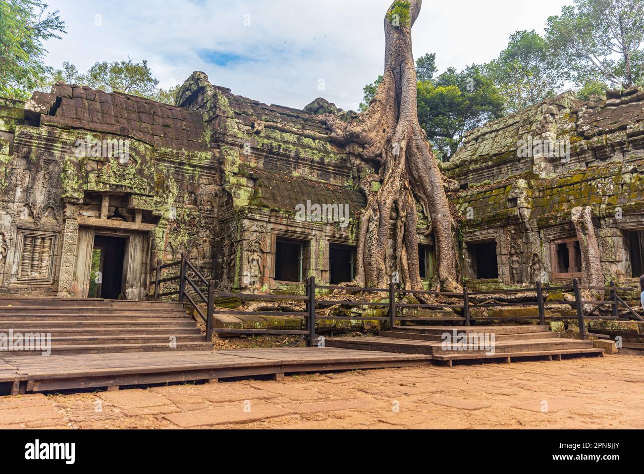 Famous overgrown Ta Prohm Temple, Angkor, Cambodia Stock Photo - Alamy