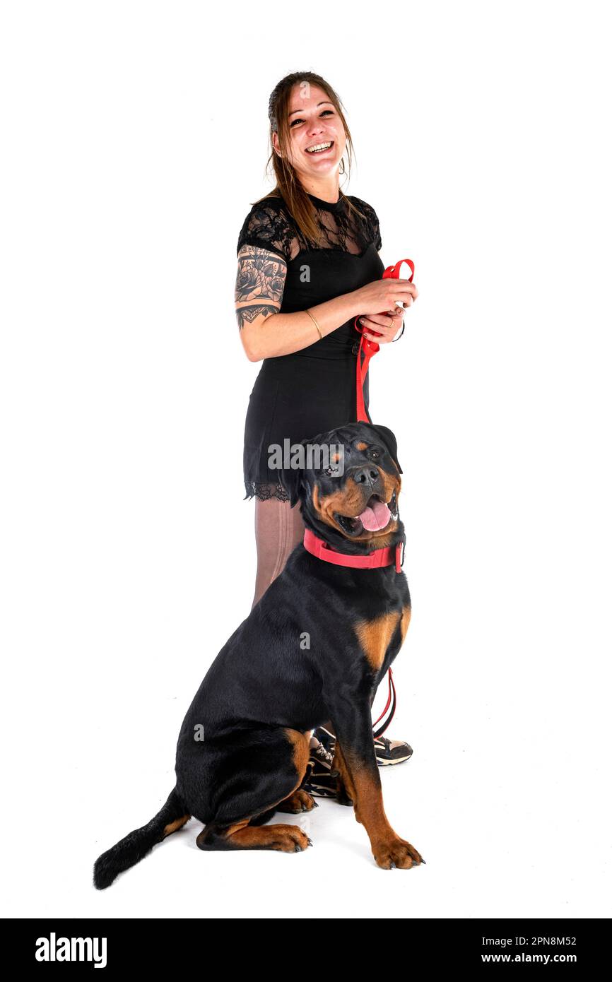 purebred rottweiler and woman in front of white background Stock Photo ...