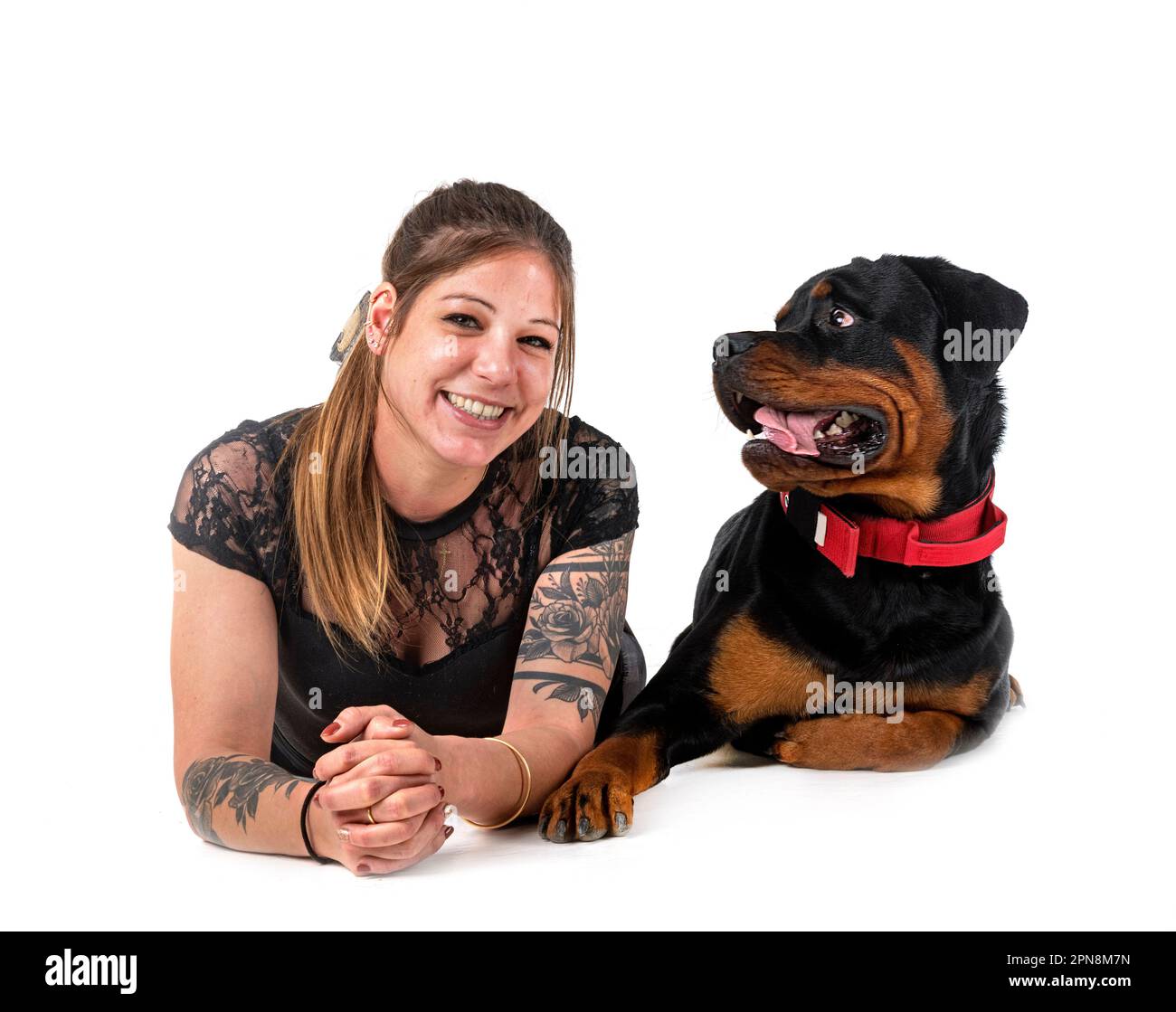 purebred rottweiler and woman in front of white background Stock Photo ...