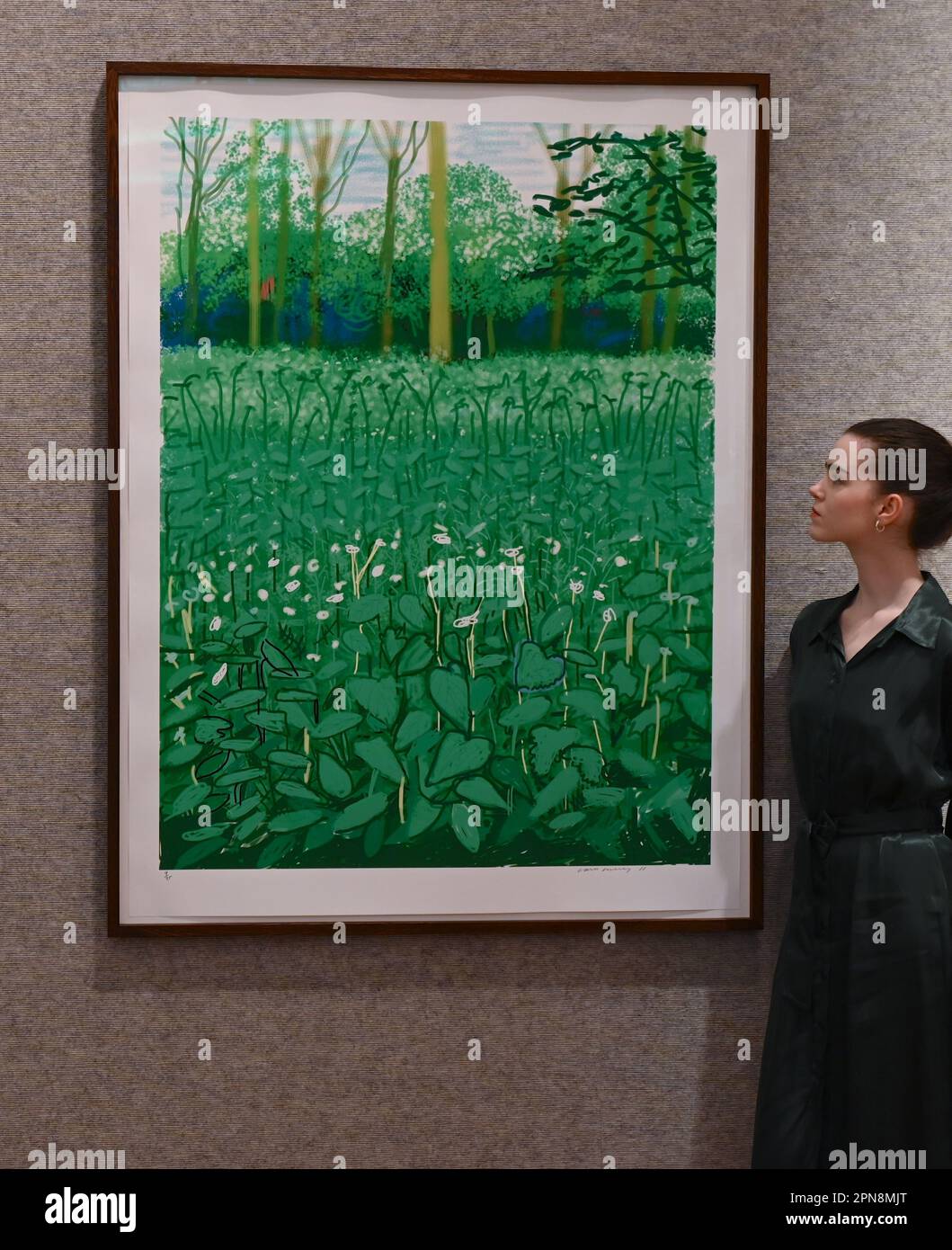 British born artist david hockney hi-res stock photography and images ...