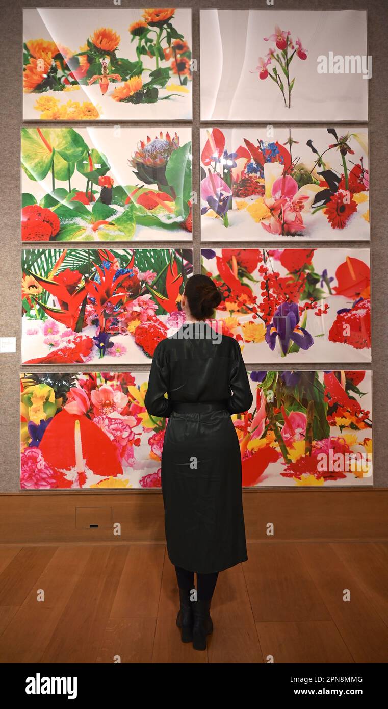 David hockney editions hi-res stock photography and images - Alamy