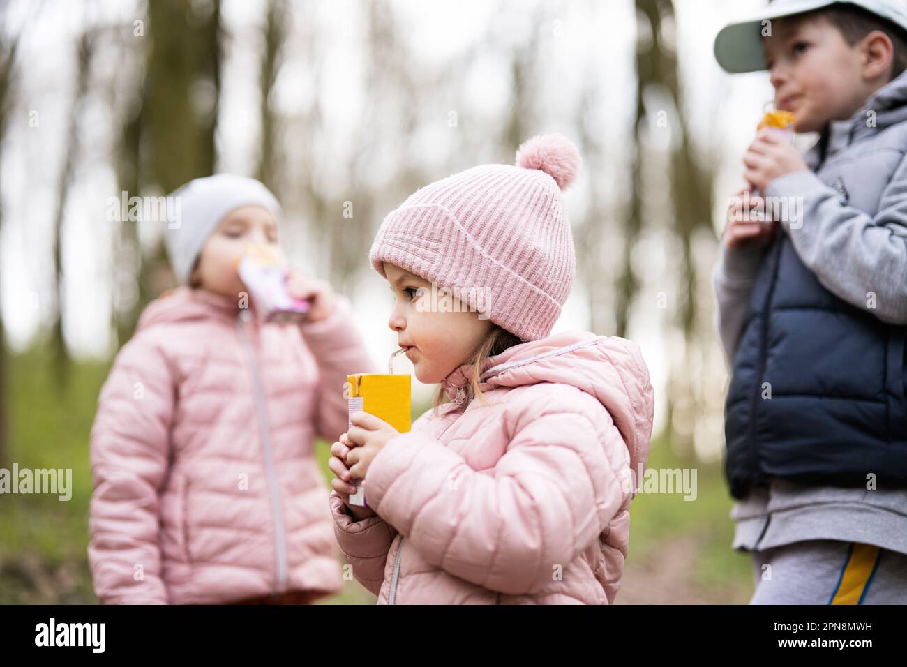 Kids drink juice using straws at forest, happy child moments Stock ...