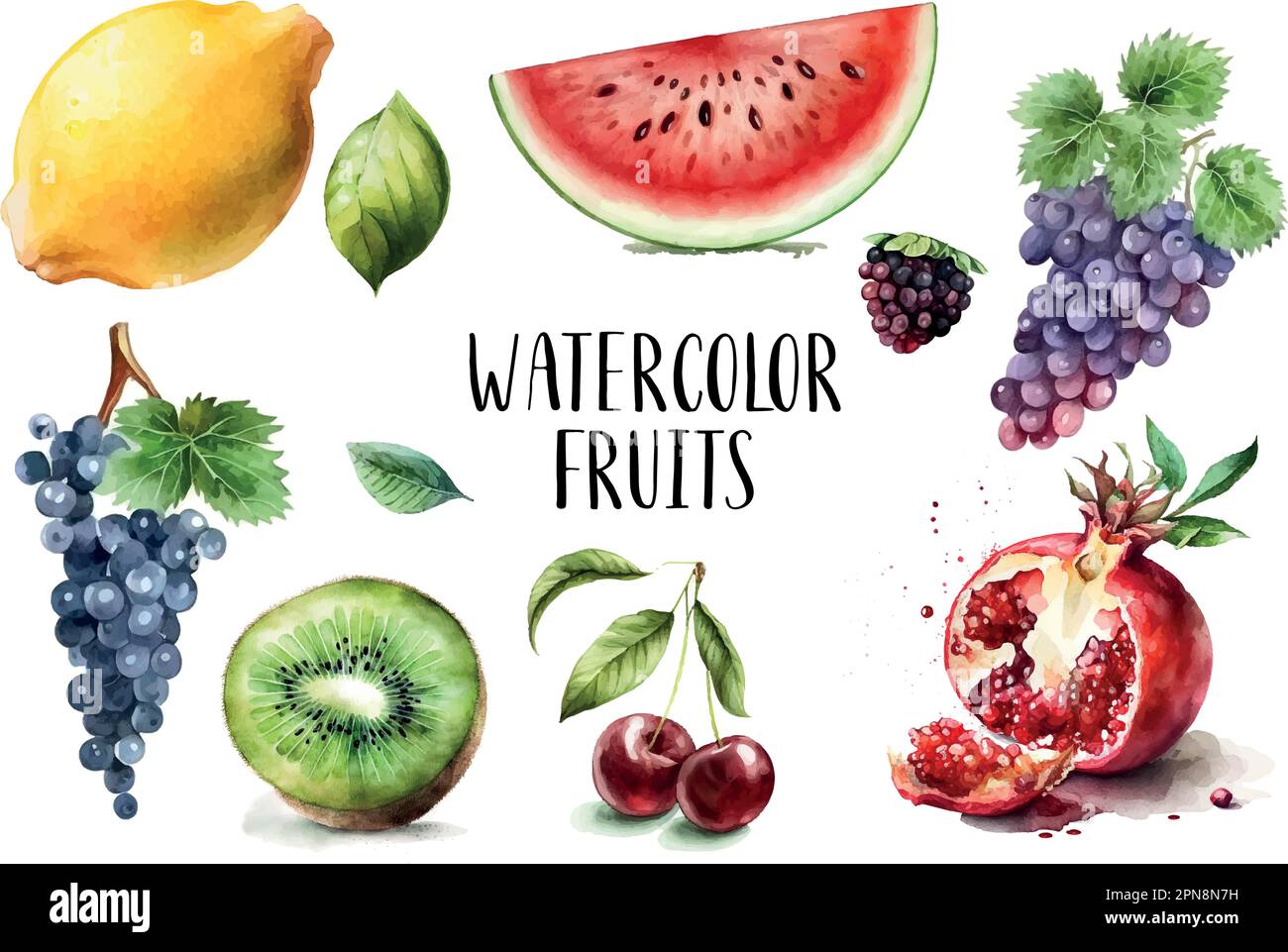 Watercolor painted collection of fruits. Hand drawn fresh food design ...