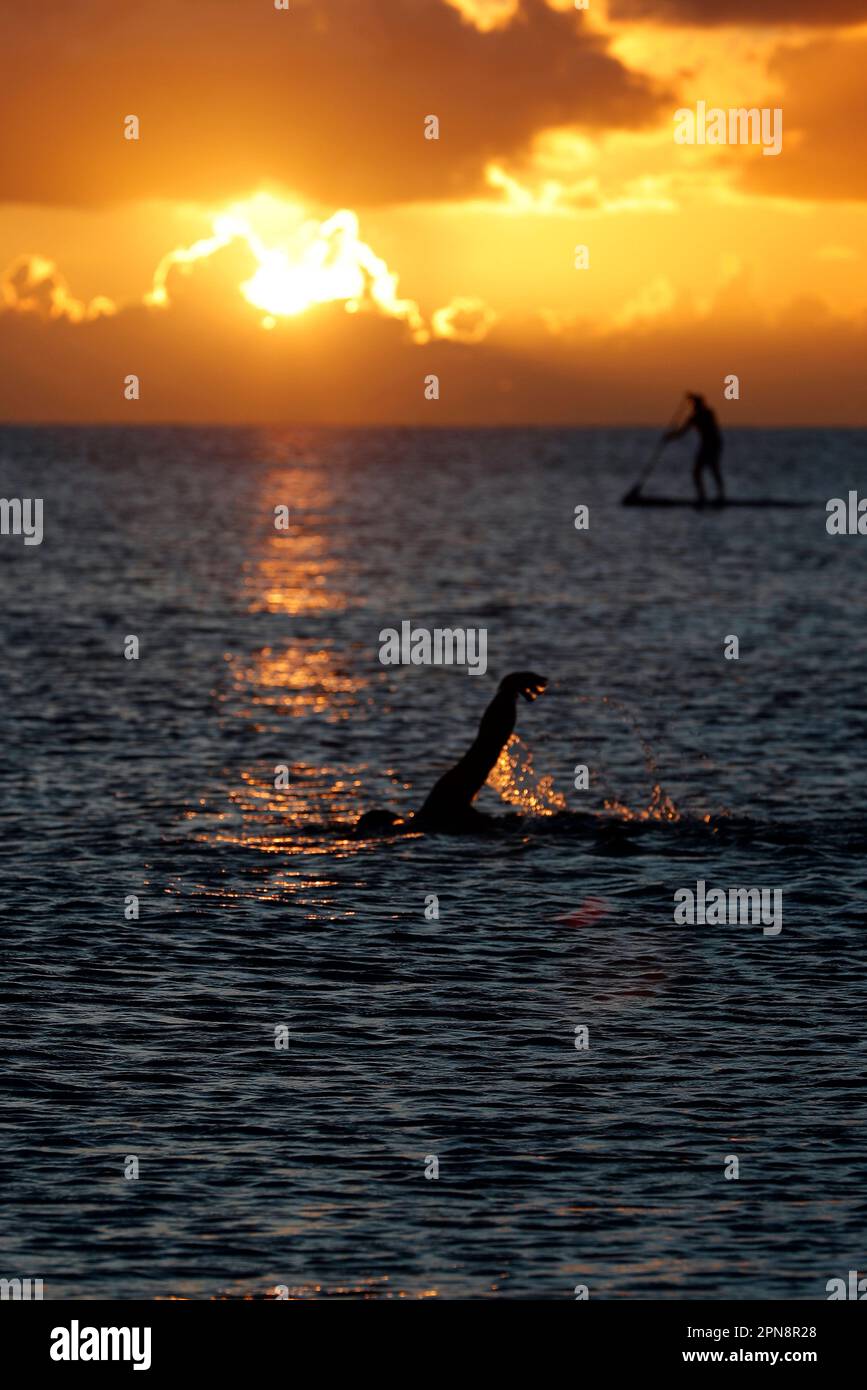 Swimmer breathing during swimming crawl in the sea at sunset. Cayman ...