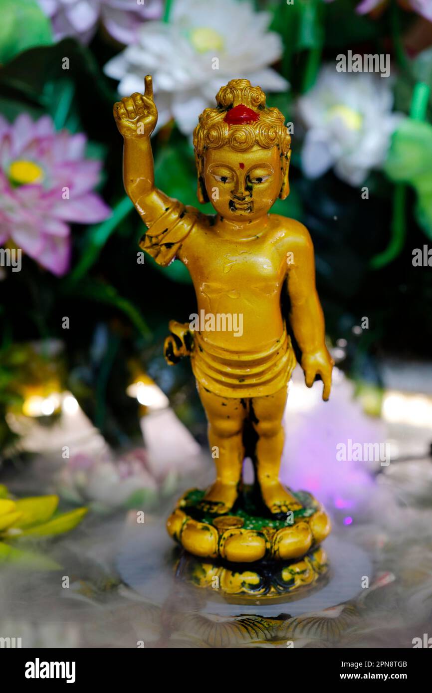 Vesak celebration. Birthday of Shakyamuni Buddha. Bathing infant Buddha ...