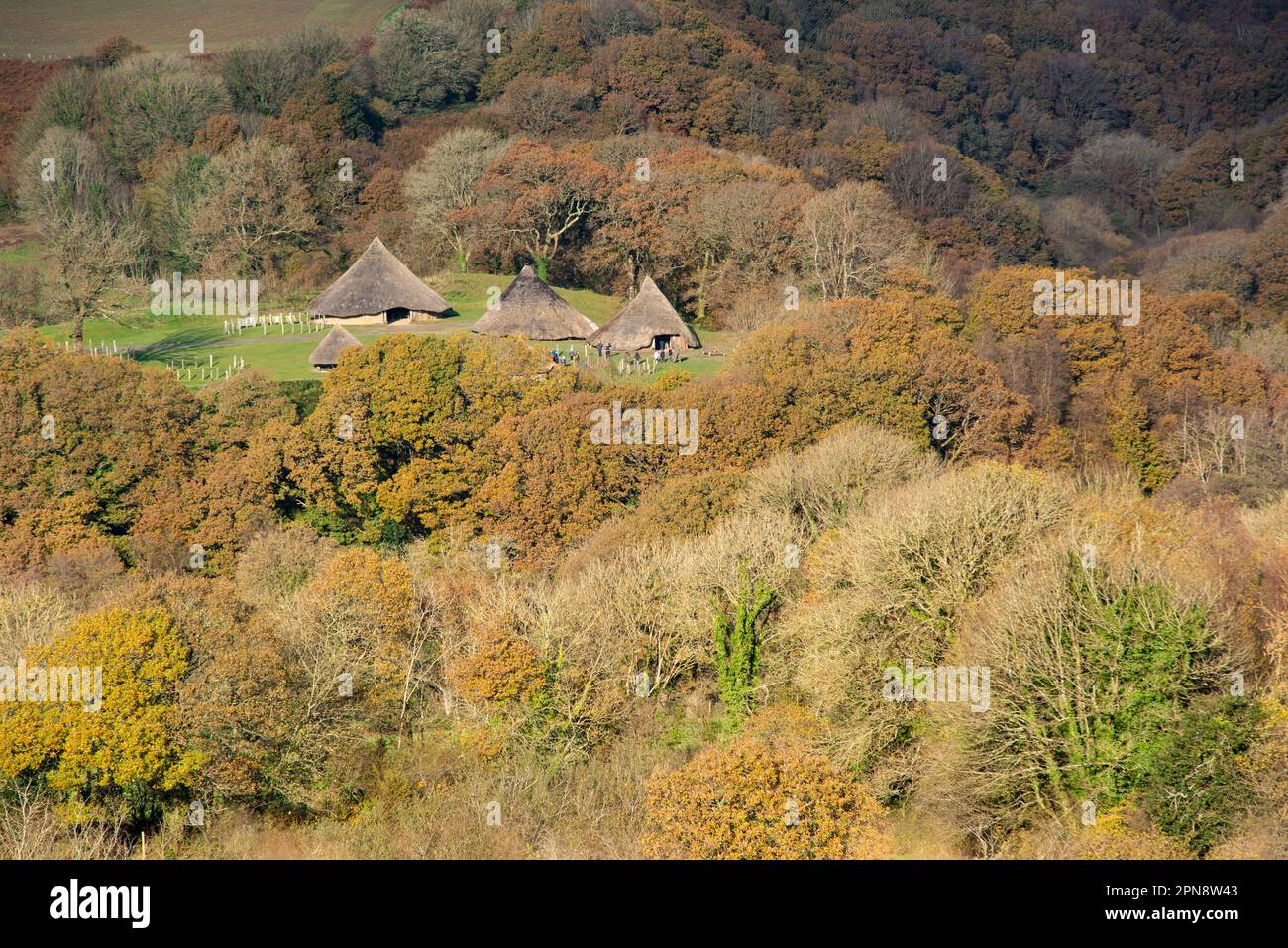 Iron age huts in woodland, Castell Henllys, Pembrokeshire, Wales, UK ...