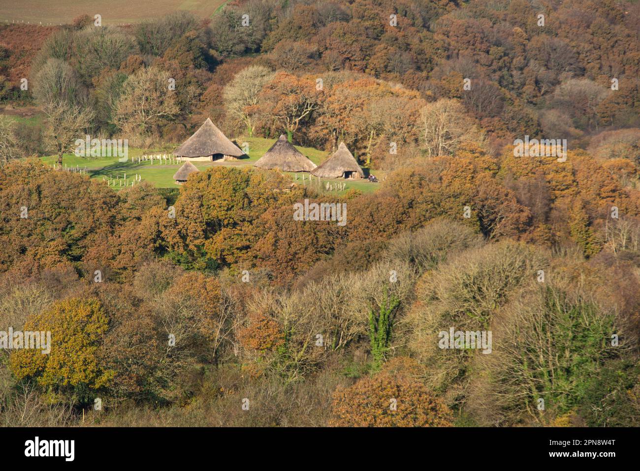 Iron age huts in woodland, Castell Henllys, Pembrokeshire, Wales, UK ...