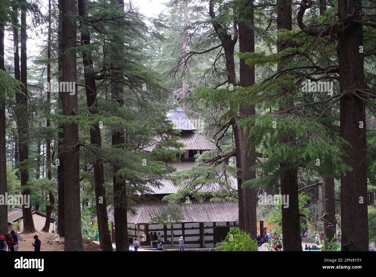 Manali Himalaya Himachal Pradesh Hadimba temple Monastery Stock Photo ...