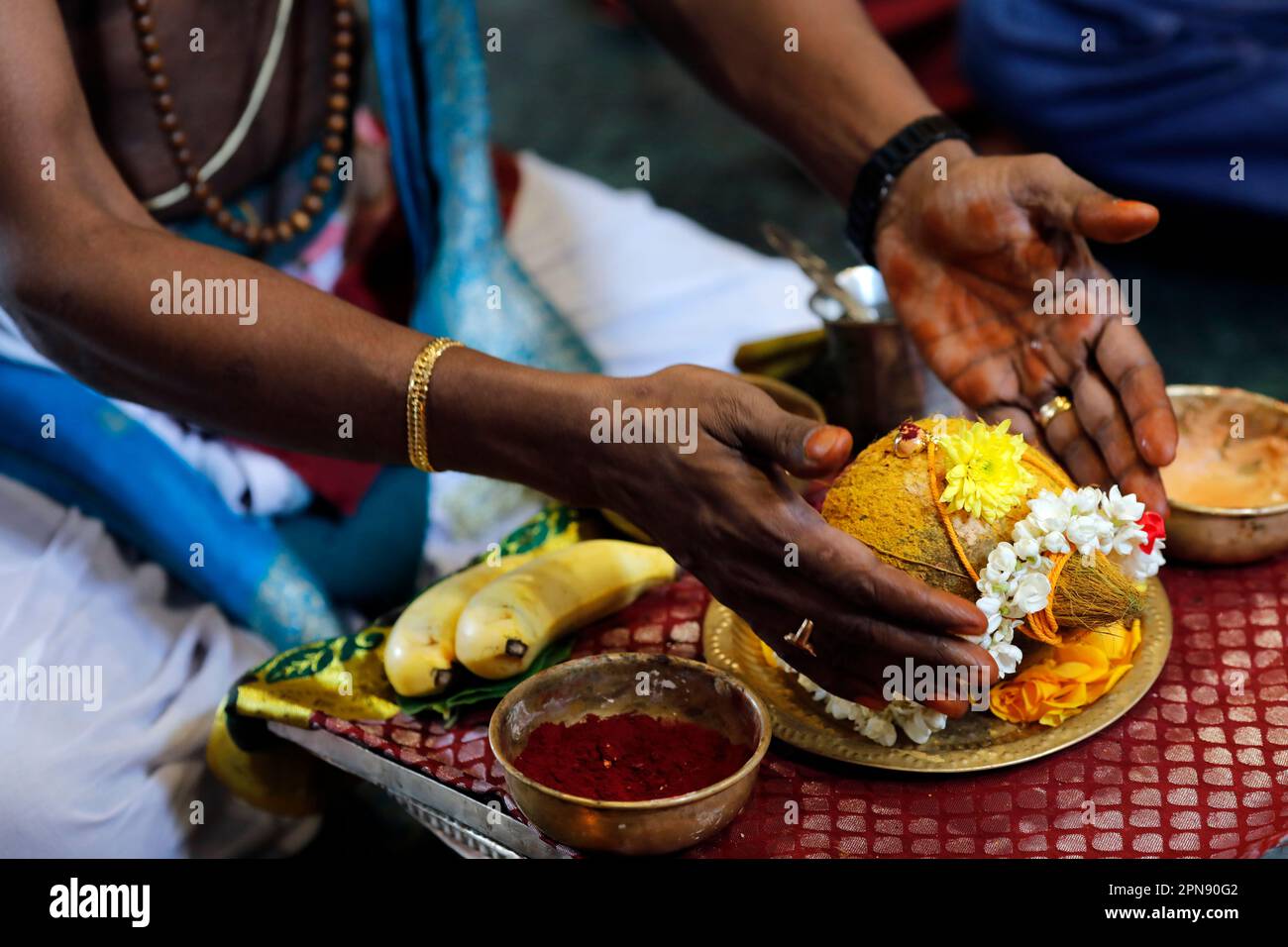 Brahmin food hi-res stock photography and images - Alamy