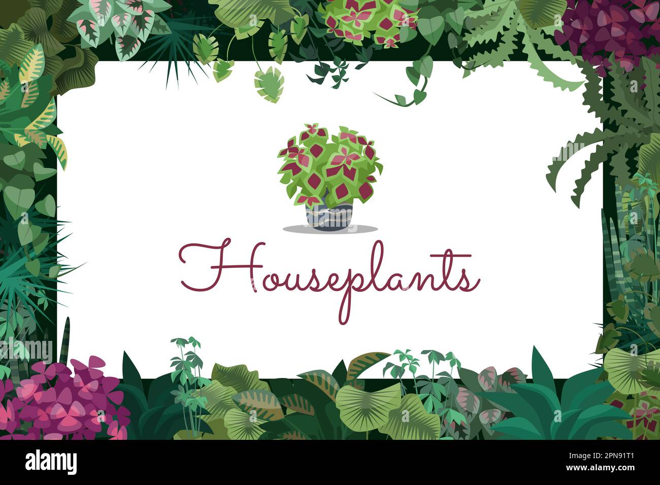 Cartoon illustration of potted plant in floral frame Stock Vector Image ...