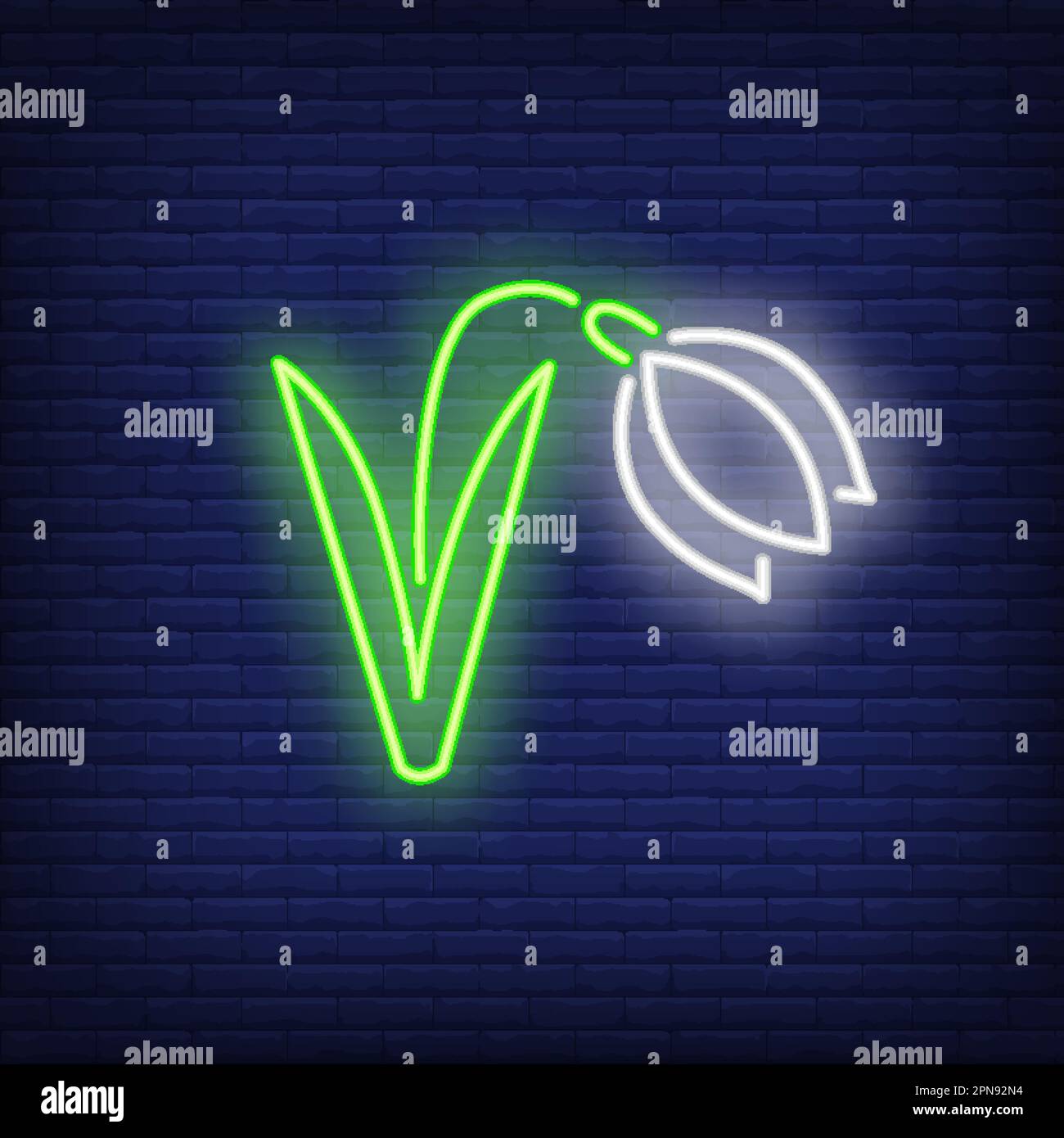 Snowdrop neon sign Stock Vector Image & Art - Alamy