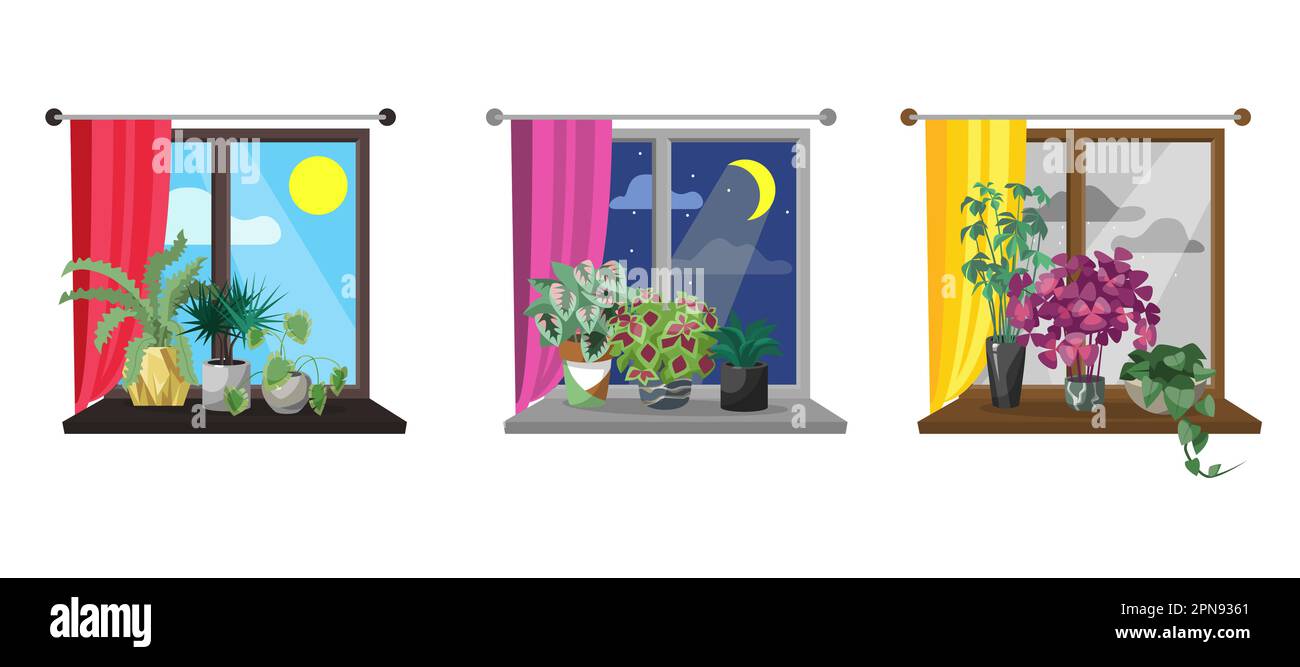 Houseplants on windowsills cartoon illustrations set Stock Vector Image ...