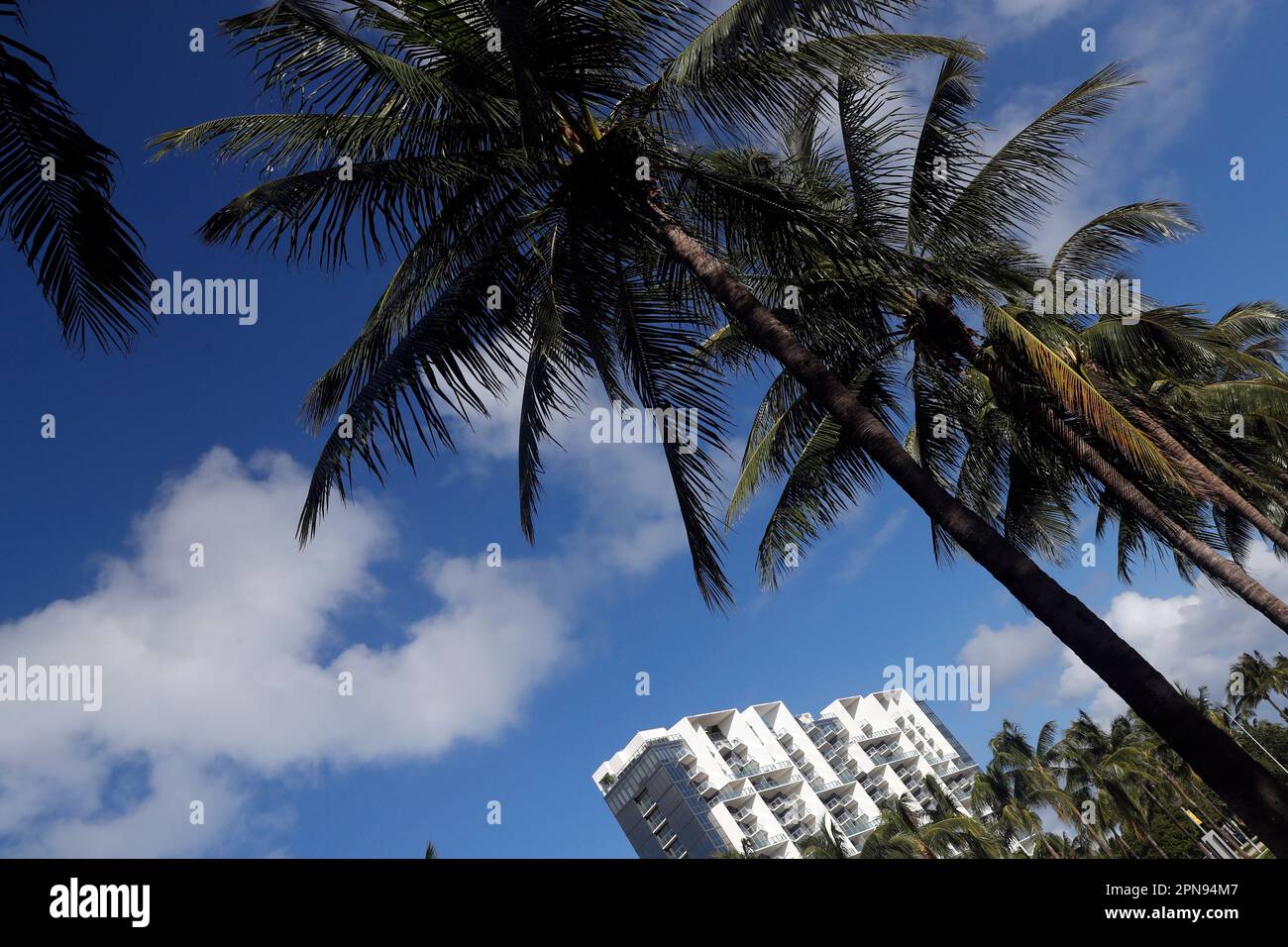 Miami Beach Florida, Collins Park. Miami, Florida, USA Stock Photo - Alamy