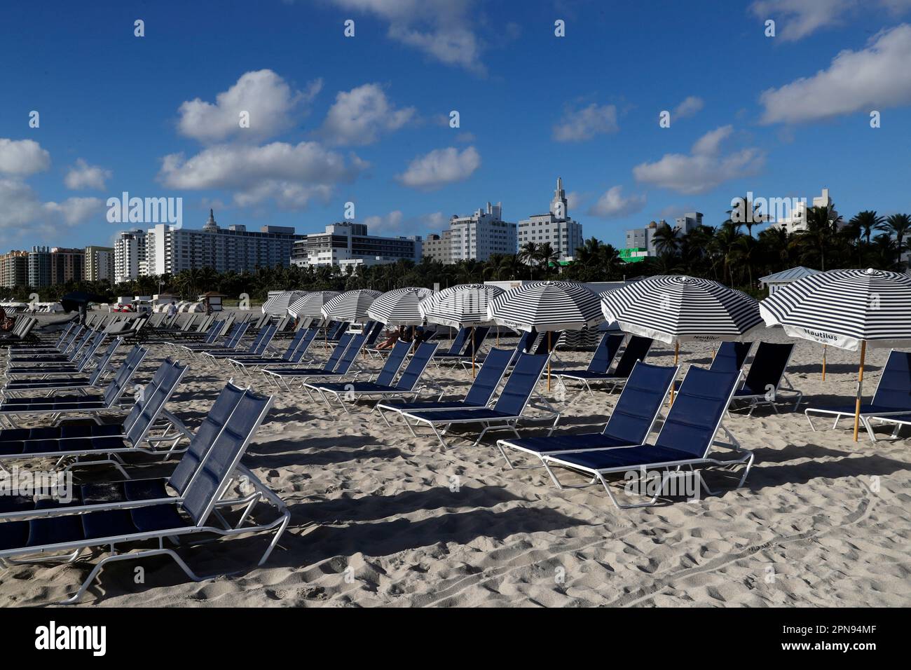 Lounge Chairs lined up in the morning at a resort hotel on Miami Beach ...
