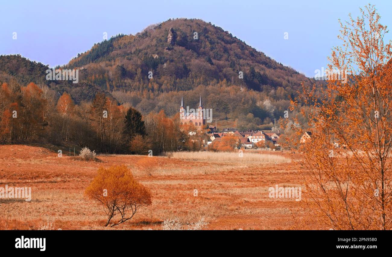 Landscape at fall in Pfälzer Wald, Germany Stock Photo - Alamy