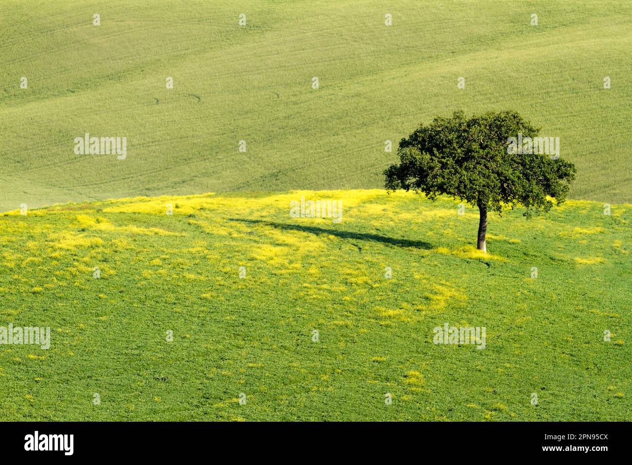 Val dorcia area hi-res stock photography and images - Alamy