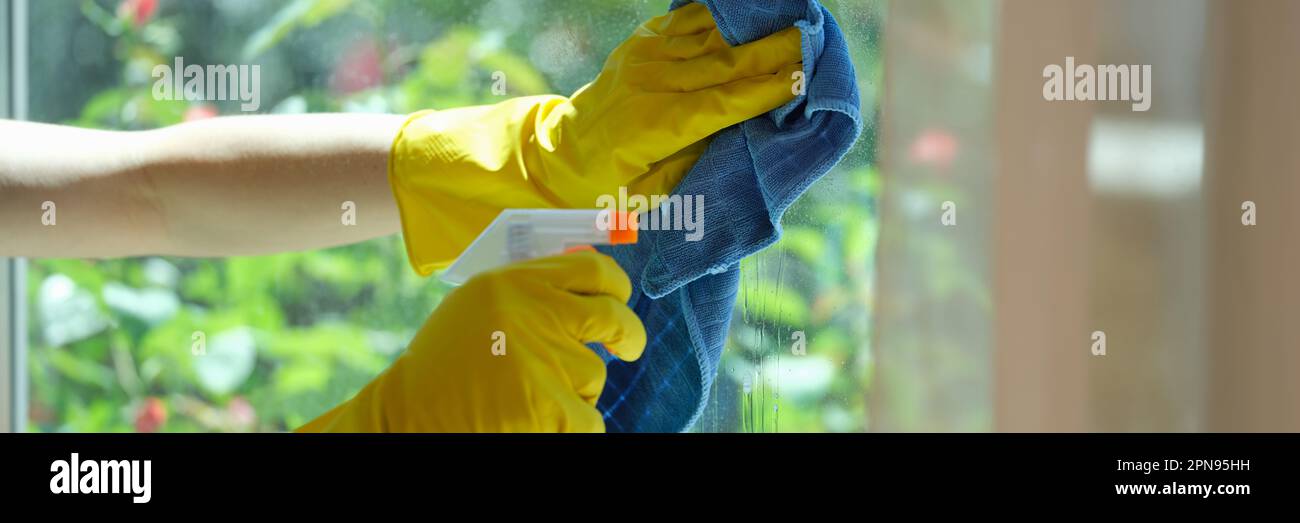 Female hands in gloves cleaning window using detergent and rags Stock ...