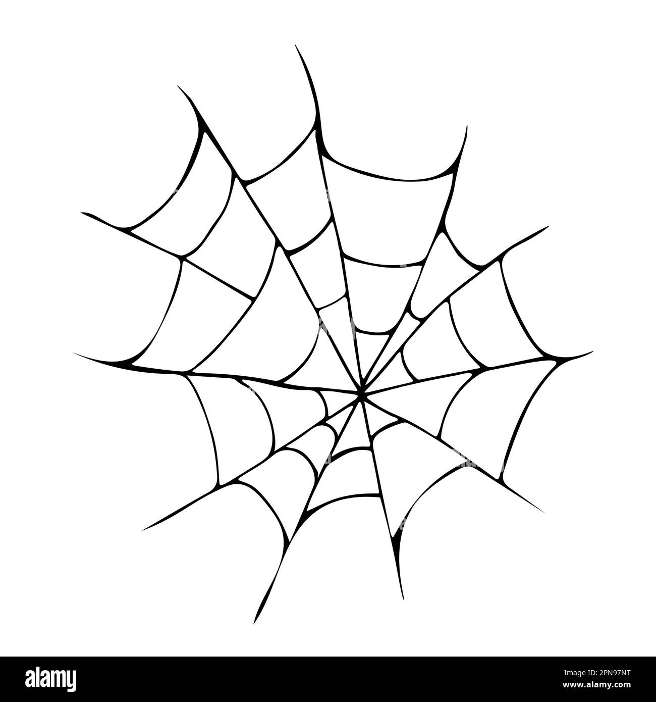 Vector illustration of a hand drawn web Stock Vector Image & Art - Alamy