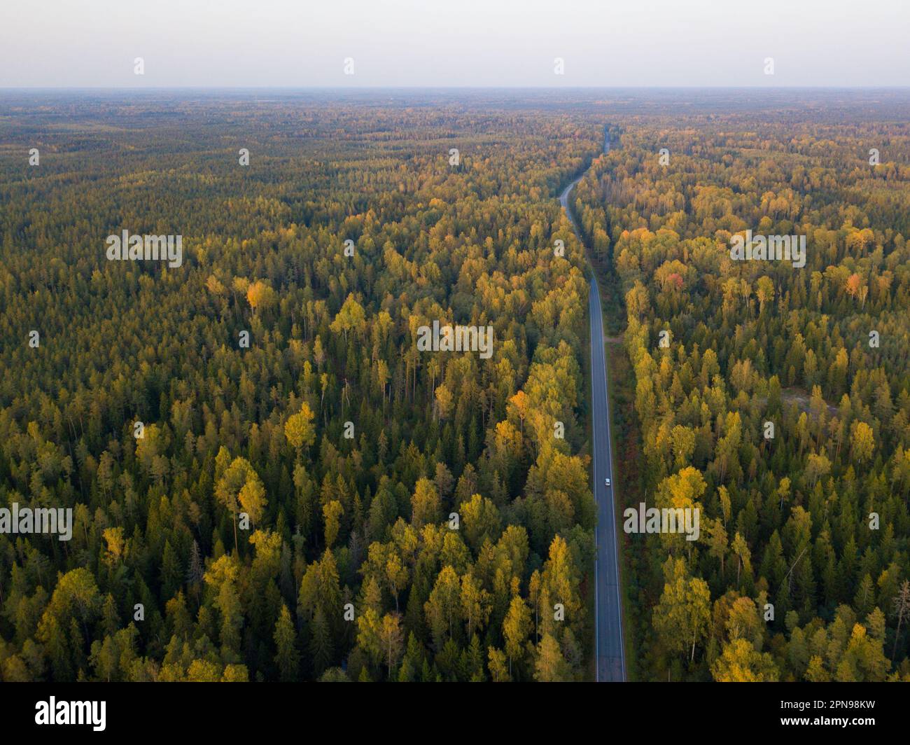 An aerial view of an idyllic autumn scene, showing a winding country ...
