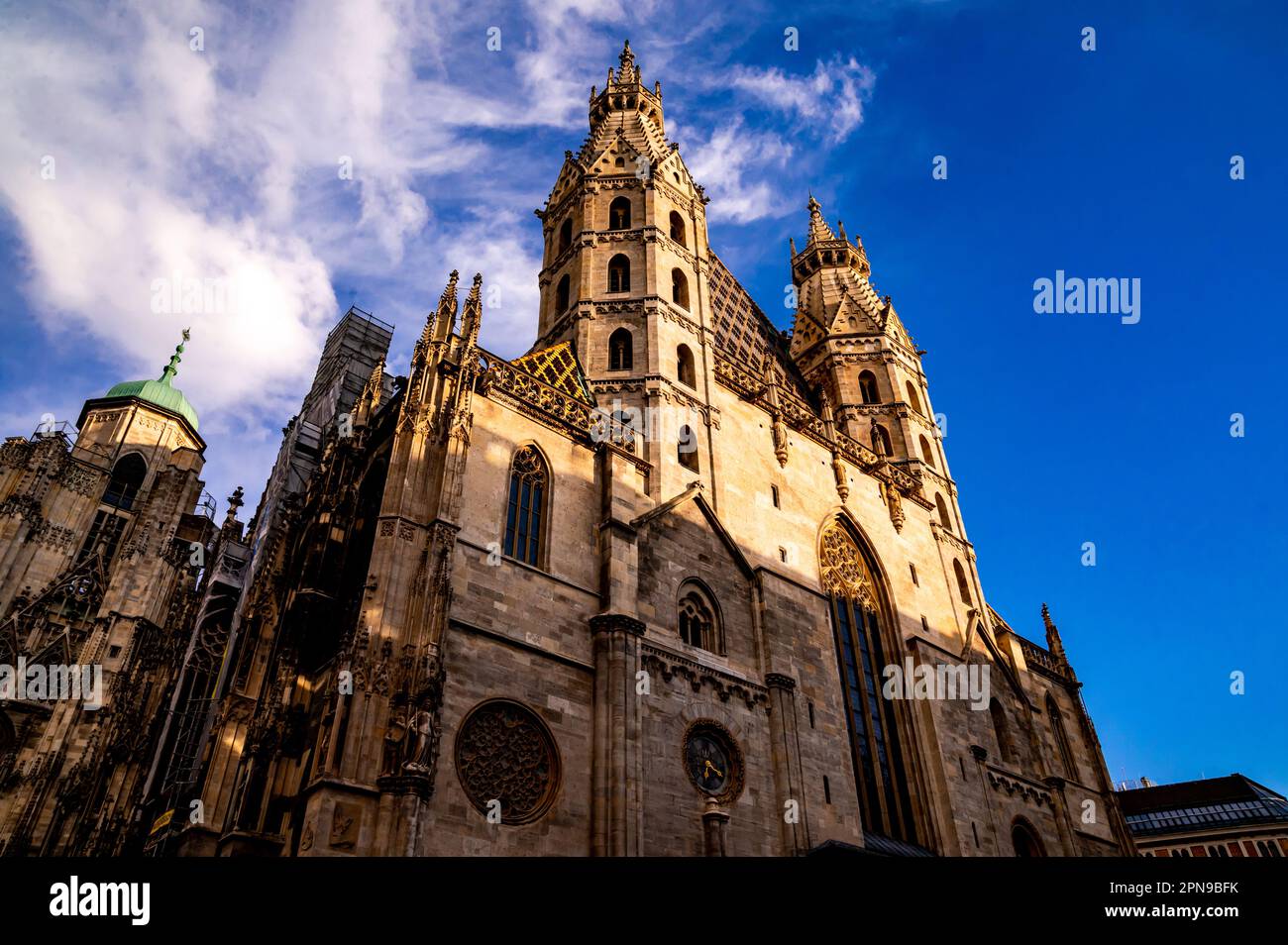 St. Stephen's Cathedral (German: Stephansdom) is the mother church of ...