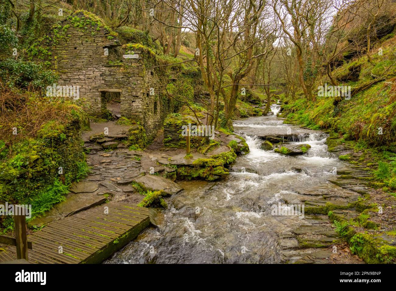 Trethevey, tintagel, cornwall hi-res stock photography and images - Alamy