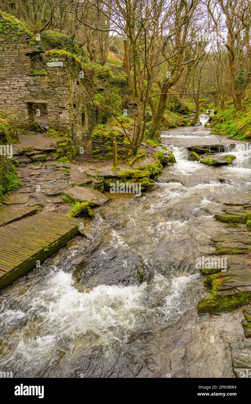 Trethevey, tintagel, cornwall hi-res stock photography and images - Alamy