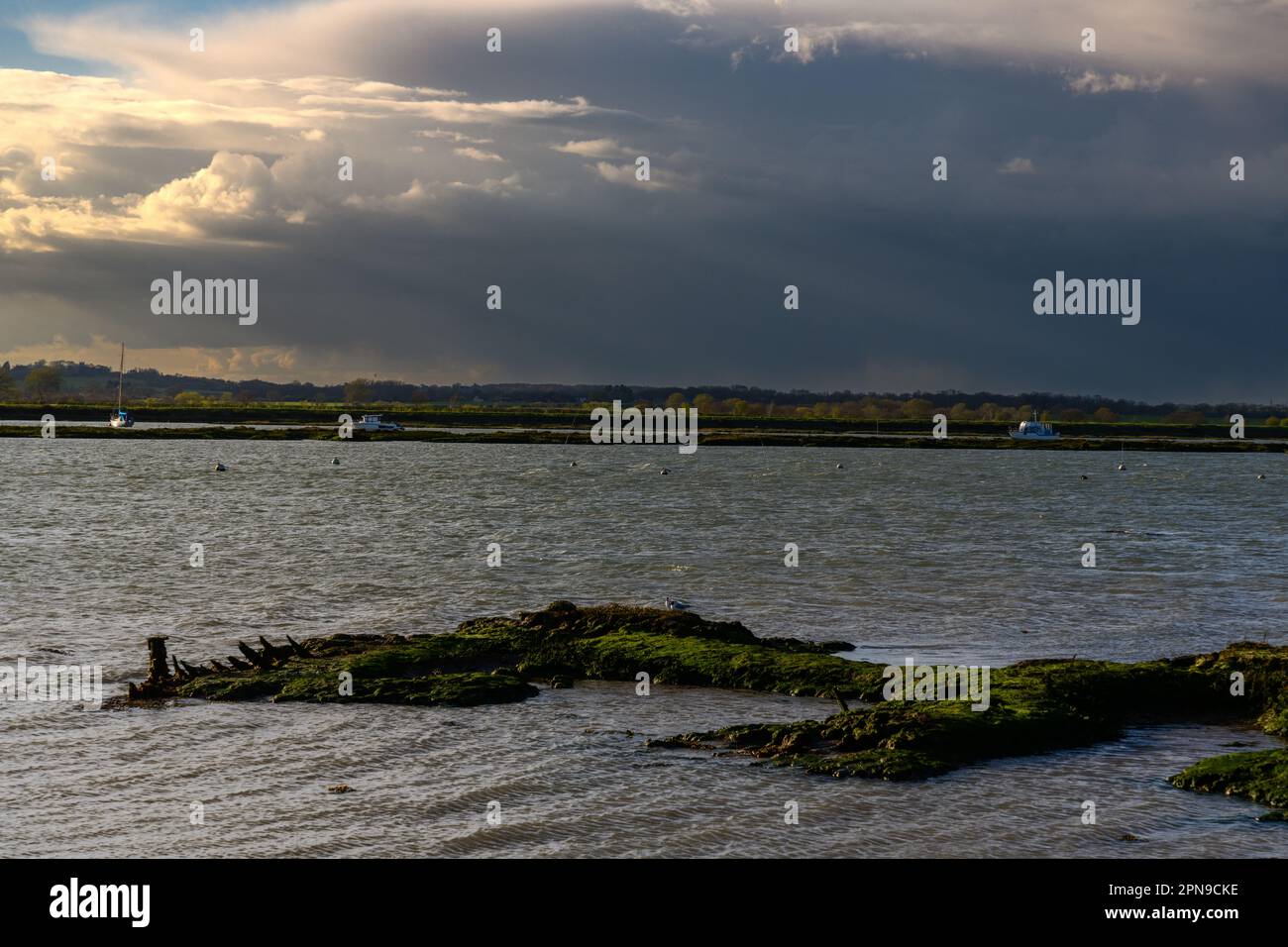 Thames estury essex hi-res stock photography and images - Alamy