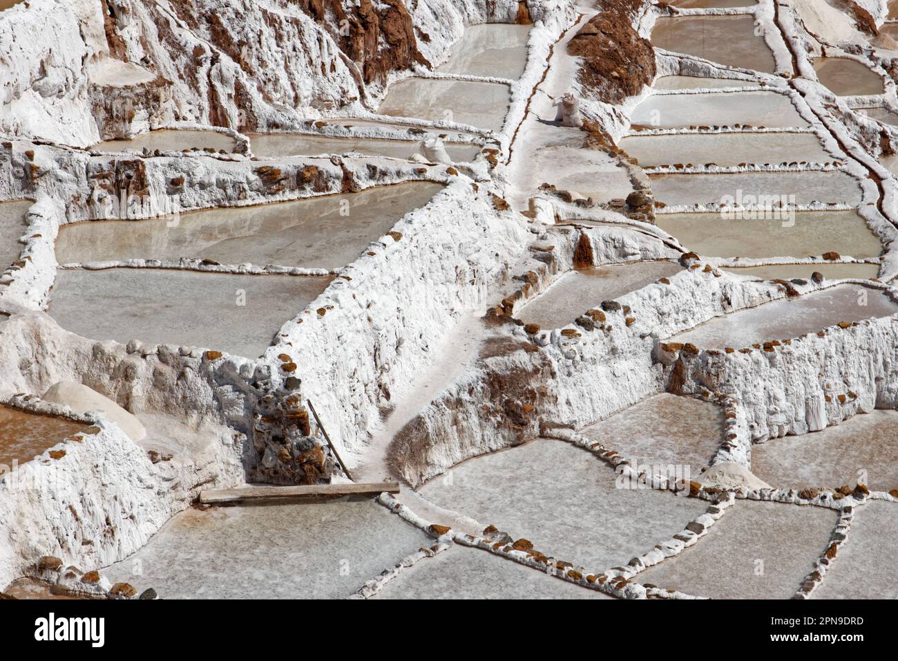 Salt evaporation ponds of Maras, Cusco Department, Peru Stock Photo - Alamy