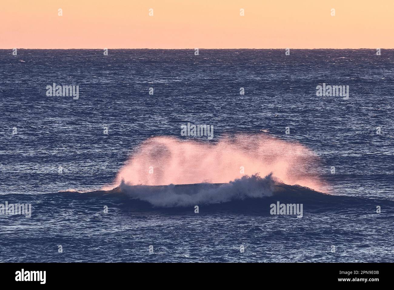 Stag patagonia hi-res stock photography and images - Alamy
